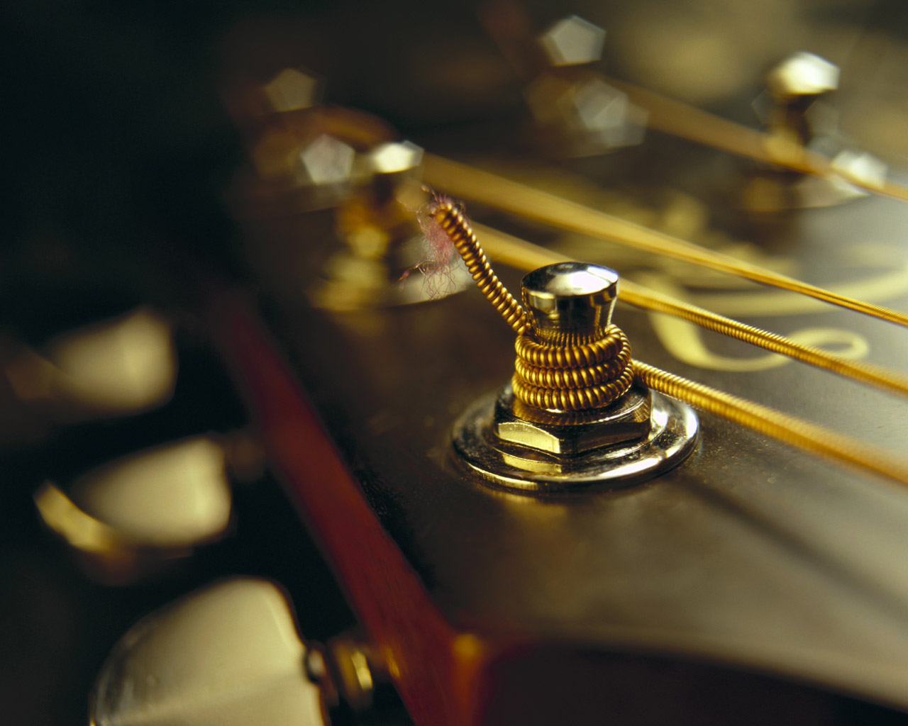 music artist wallpaper,string instrument,guitar,macro photography ...