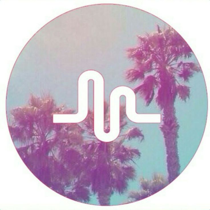 Cool Tik Tok Profile- WallpaperUse