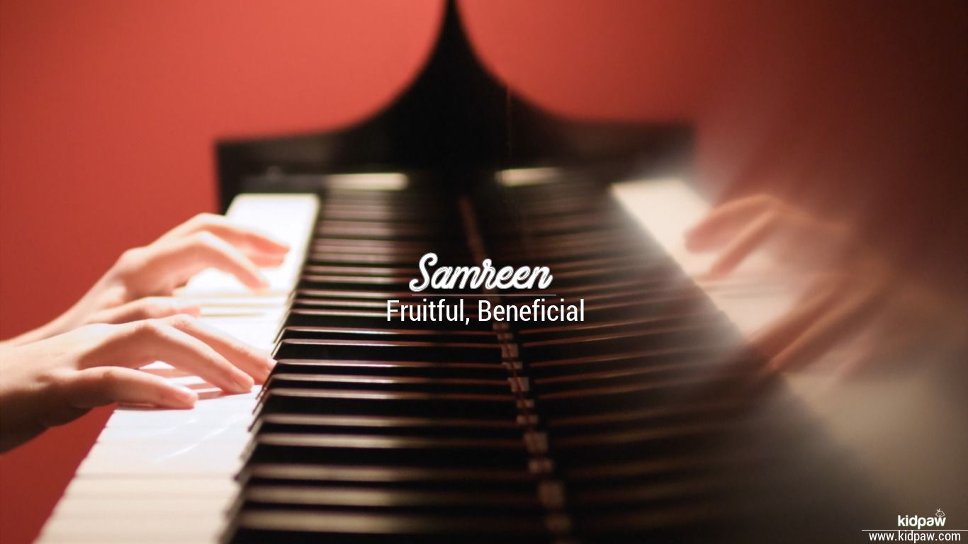 hd music wallpapers for android,pianist,musical instrument,piano ...