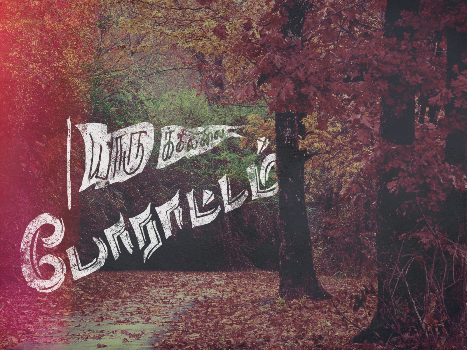 tamil letters wallpapers,text,font,art,wall,graphic design (#597189 ...