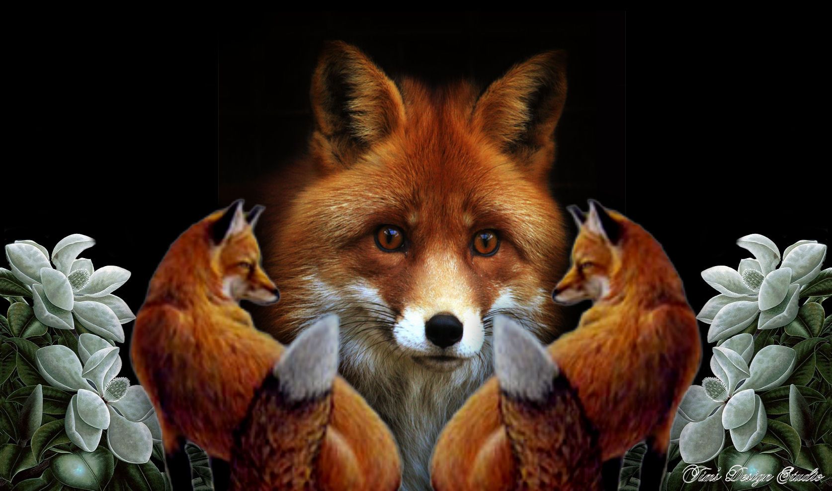 cool fox wallpaper,red fox,mammal,canidae,fox,wildlife (#598727 ...