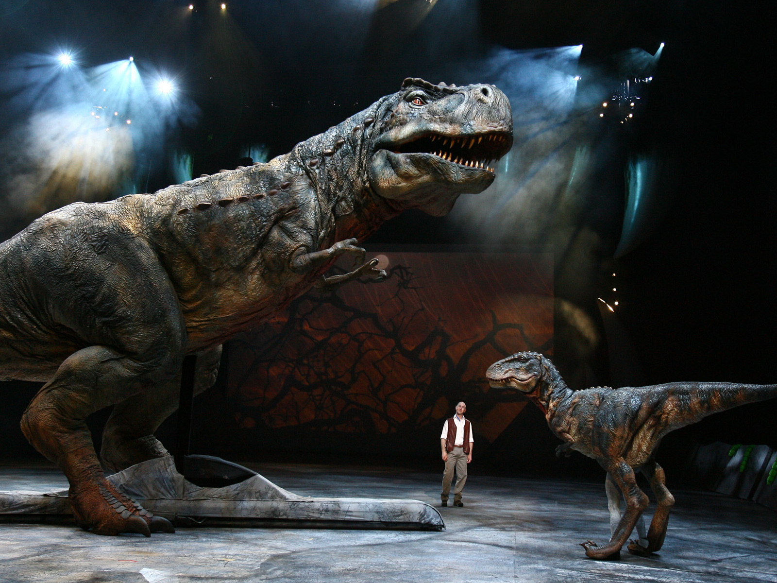 dinosaurier tapete,dinosaurier,tyrannosaurus,velociraptor (#60413 ...