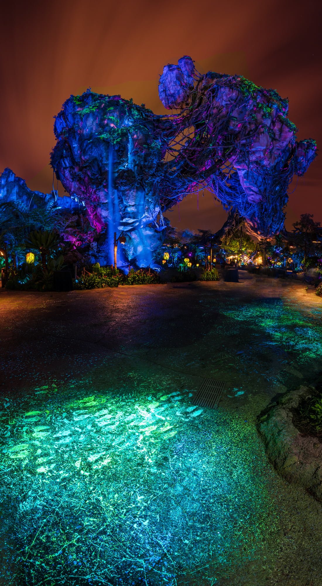 Pandora At Night Disney World- WallpaperUse