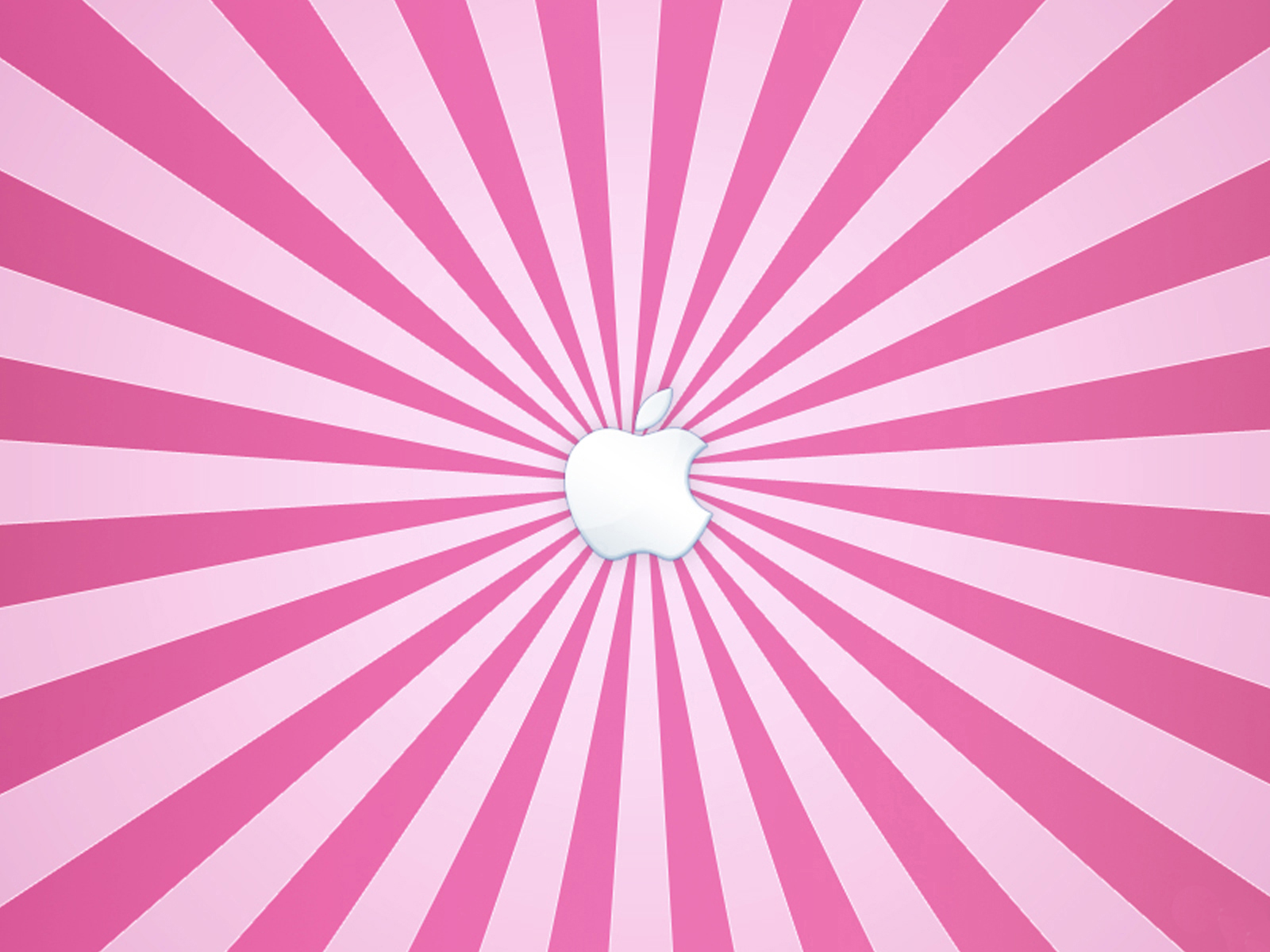 carta da parati rosa,rosa,modello,linea,design,simmetria (#62528 ...