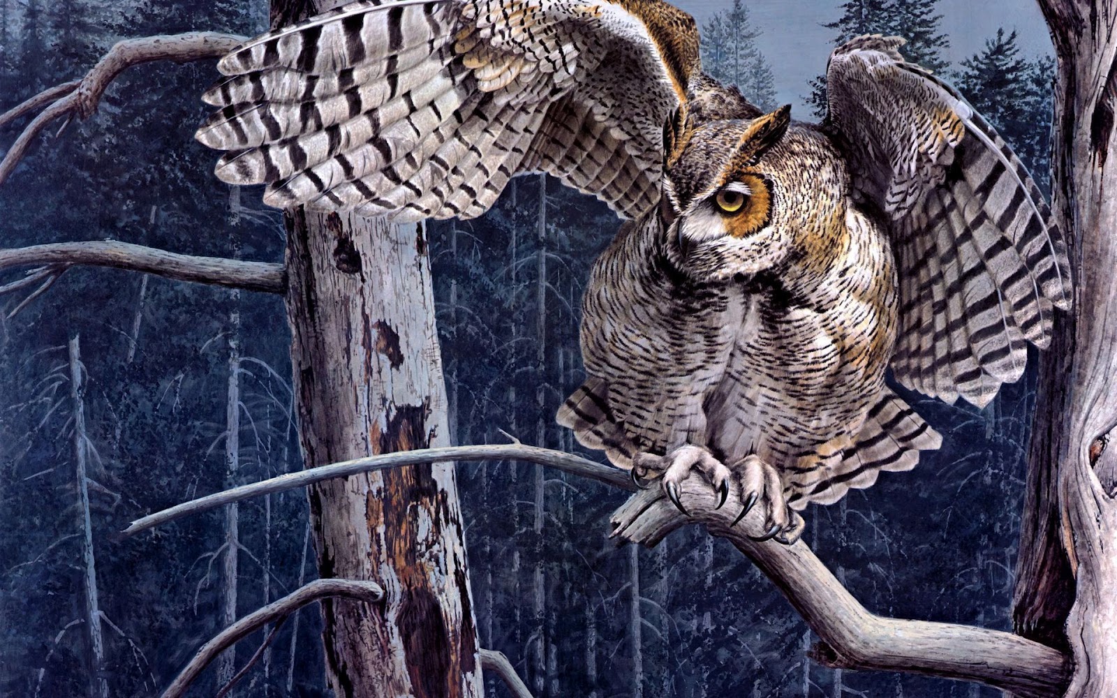 Http - //4 - Bp - Blogspot - Com/ Grbdba7gzhs/t6 Nuu - Owl In A Forest ...