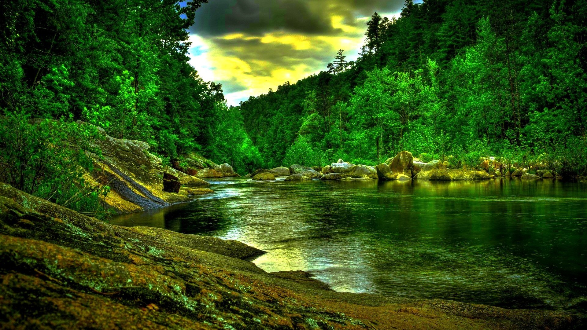 Download Beautiful Green Forest River Wide Hd Wallpaper - Nature ...