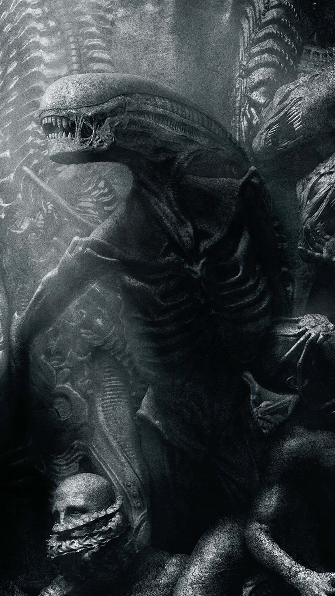 Wallpaper - Xenomorph Drooling Alien- WallpaperUse