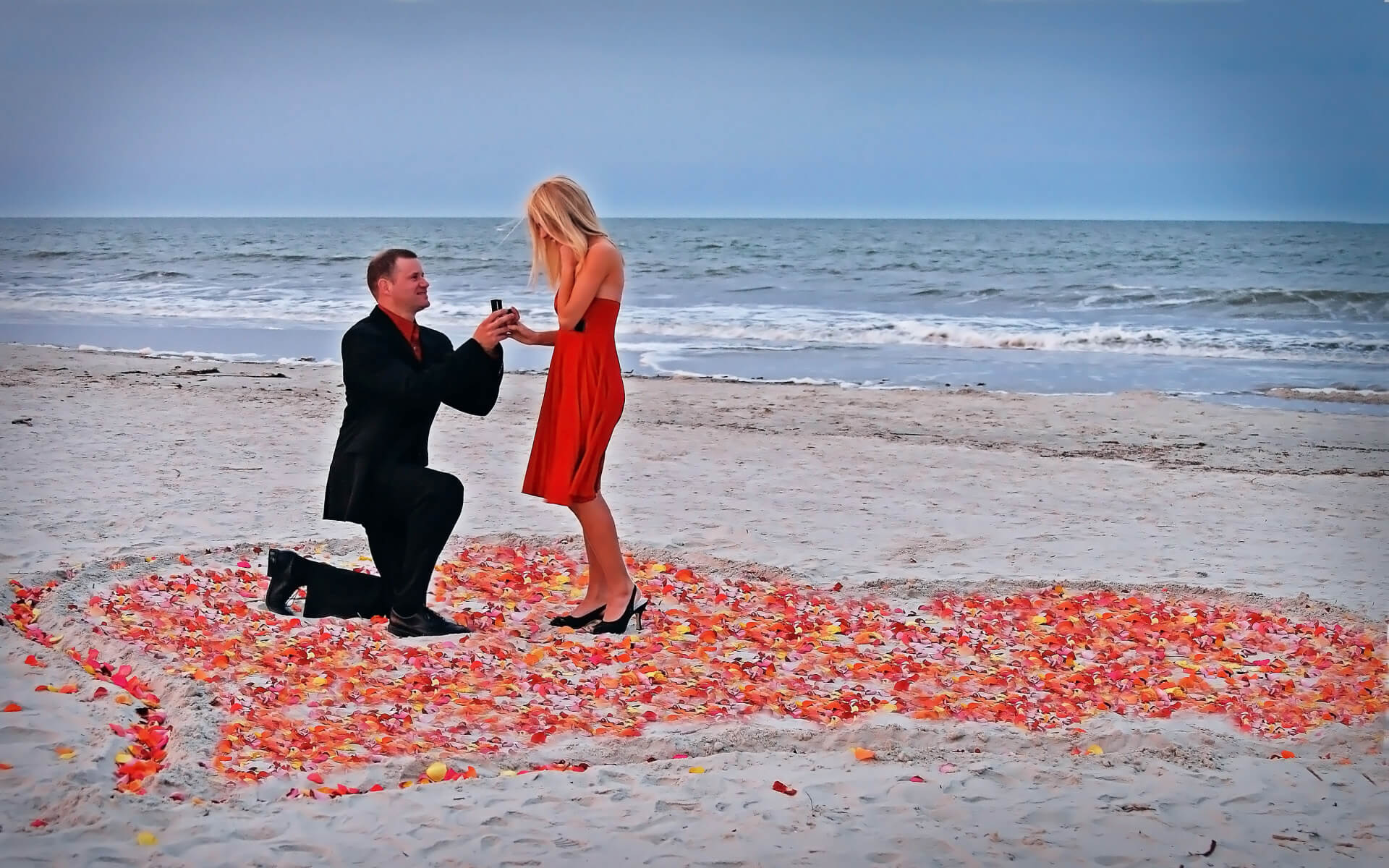Propose Day-days Of Love - Romantic Proposal Image Hd- WallpaperUse