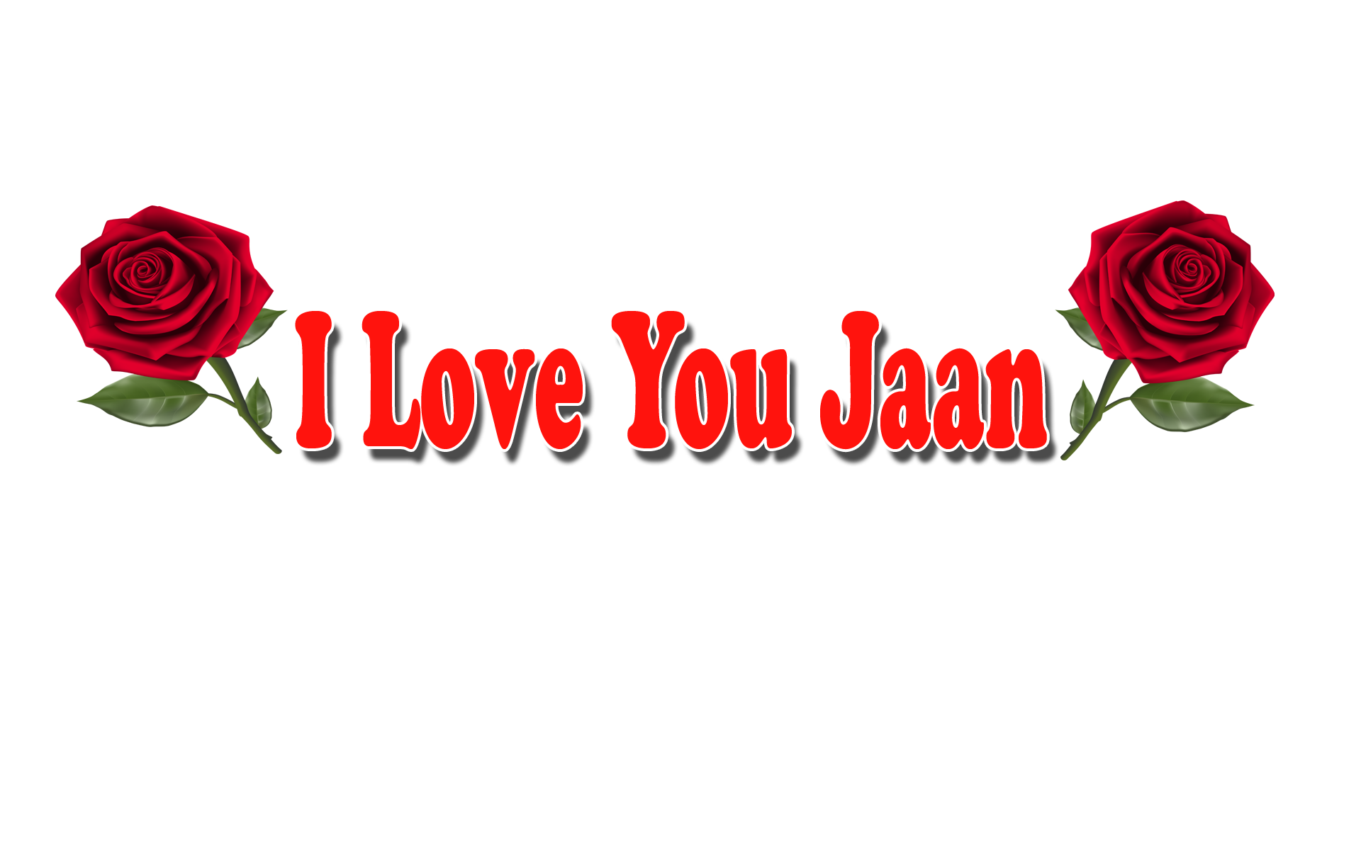 carta da parati nome janu,testo,rosso,rose da giardino,font,rosa ...