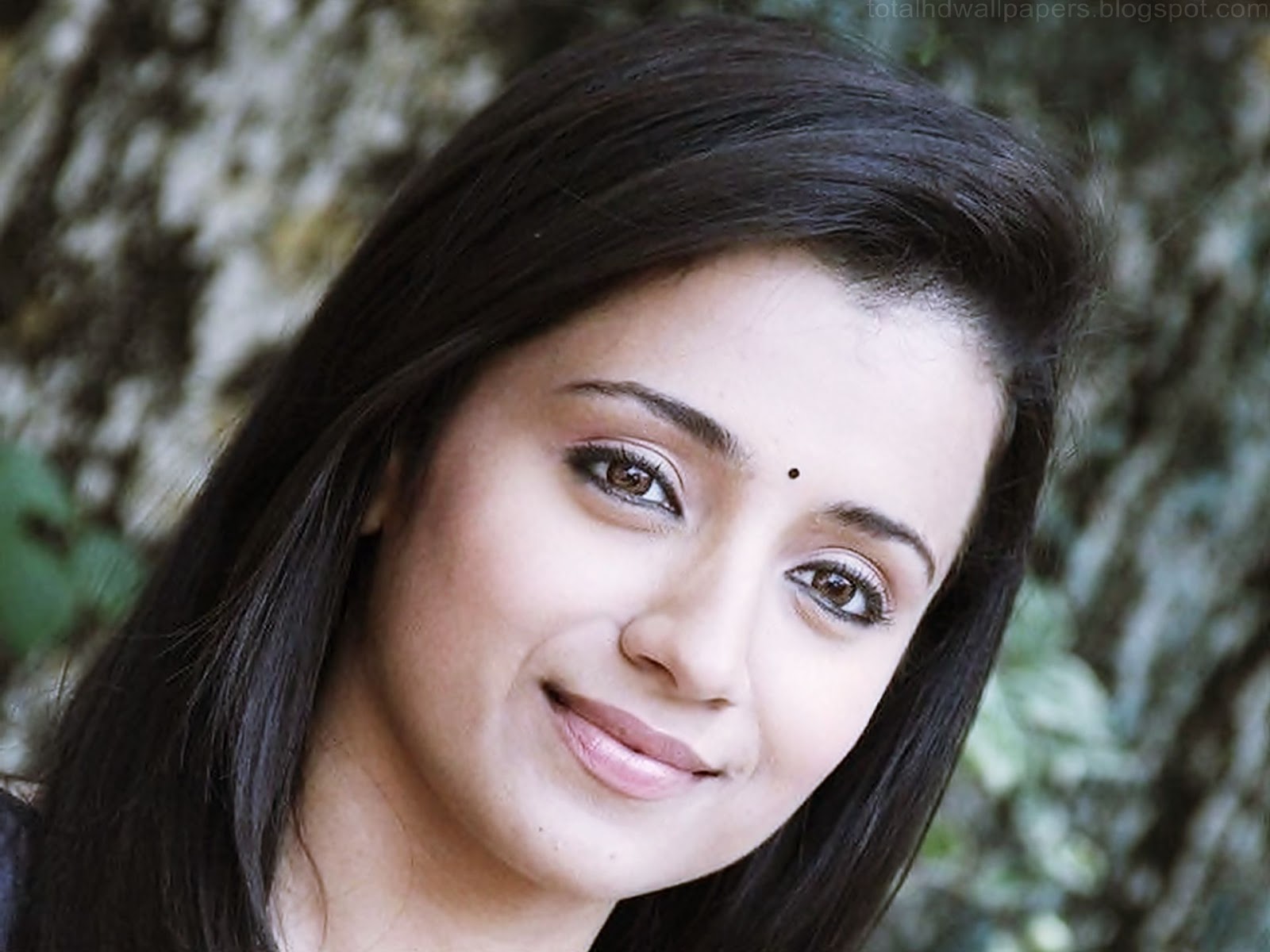 trisha wallpapers,hair,face,photograph,eyebrow,facial expression ...