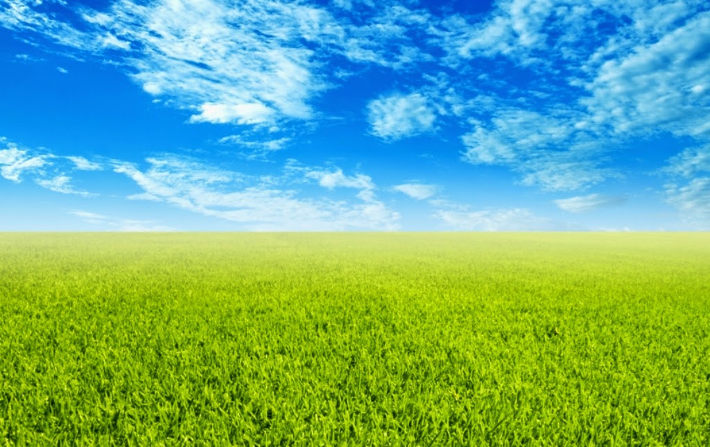 Green Ground Background Hd- WallpaperUse