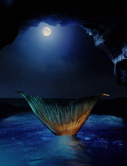 Full Moon Mako Island- WallpaperUse