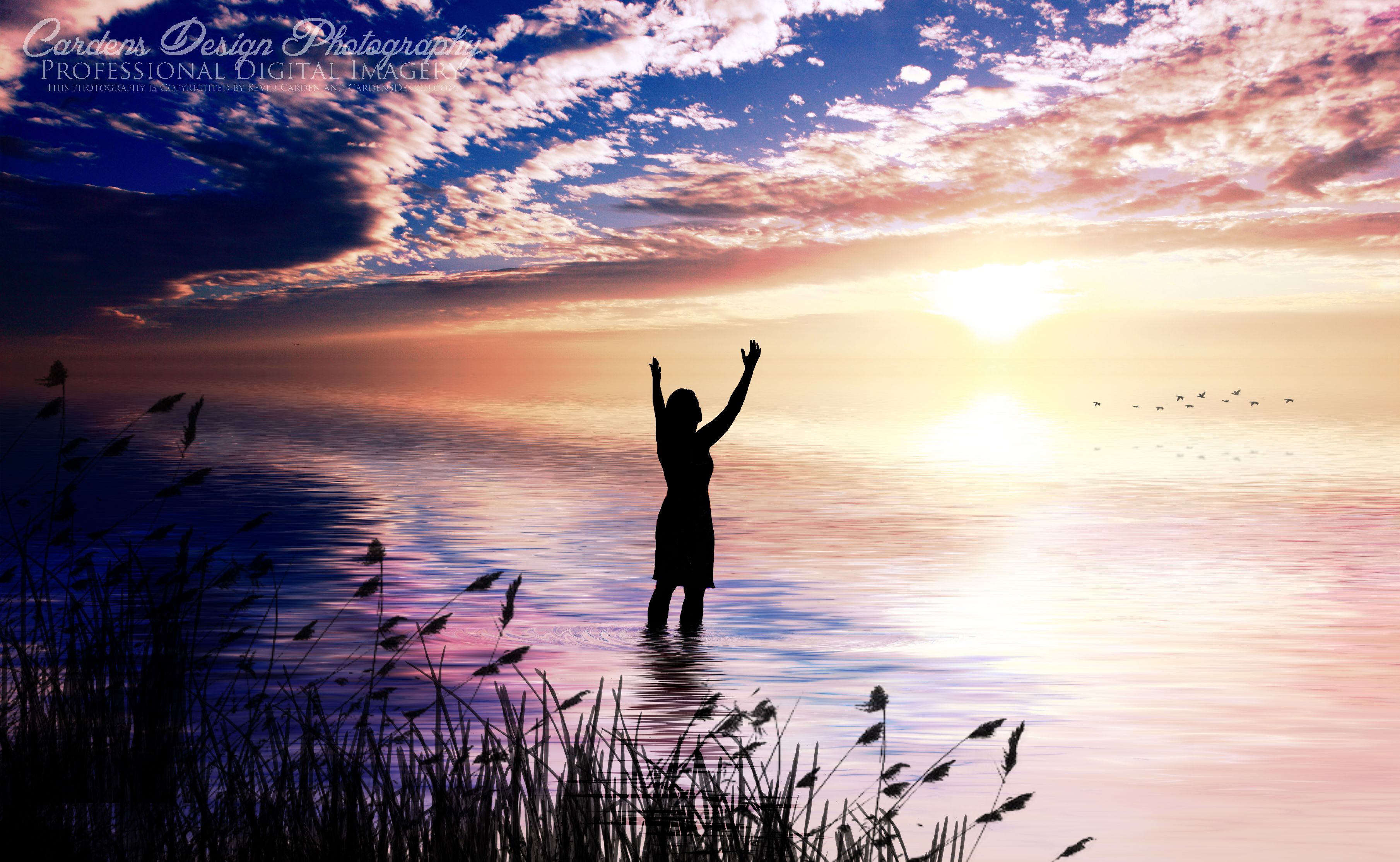 Name Animation Wallpaper- WallpaperUse