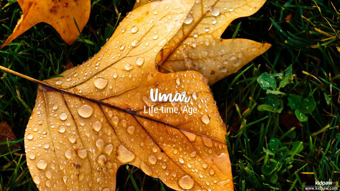 Umer Name Wallpaper