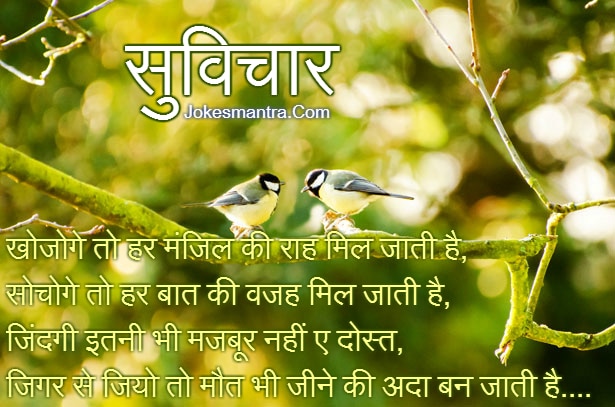 accha sa wallpaper,bird,text,adaptation,morning,font (#615262 ...