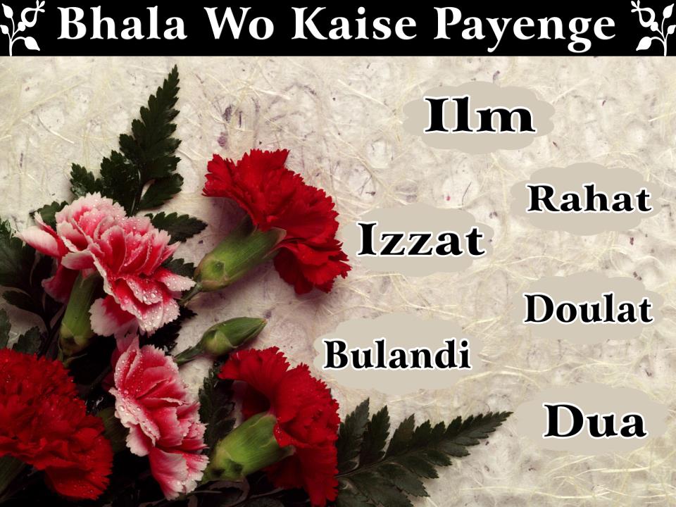 dua me yaad rakhna wallpaper,flower,text,plant,morning,font (#616460 ...