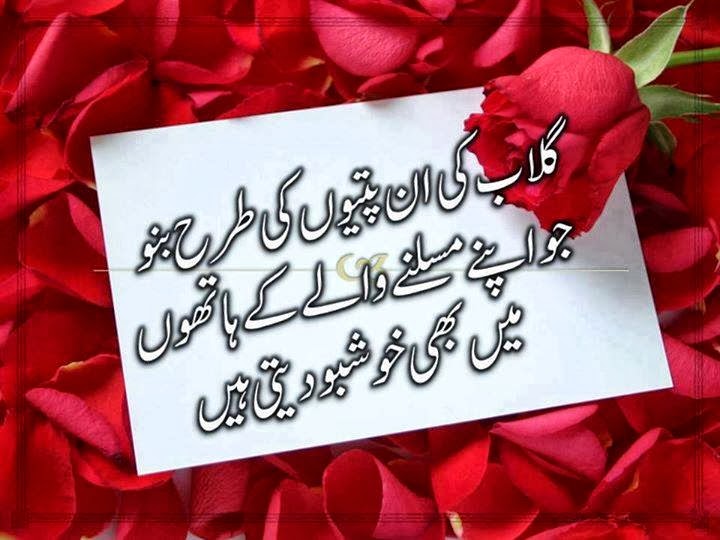 achi baatein wallpaper,rojo,texto,rosa,rosas de jardín,pétalo (#617164 ...