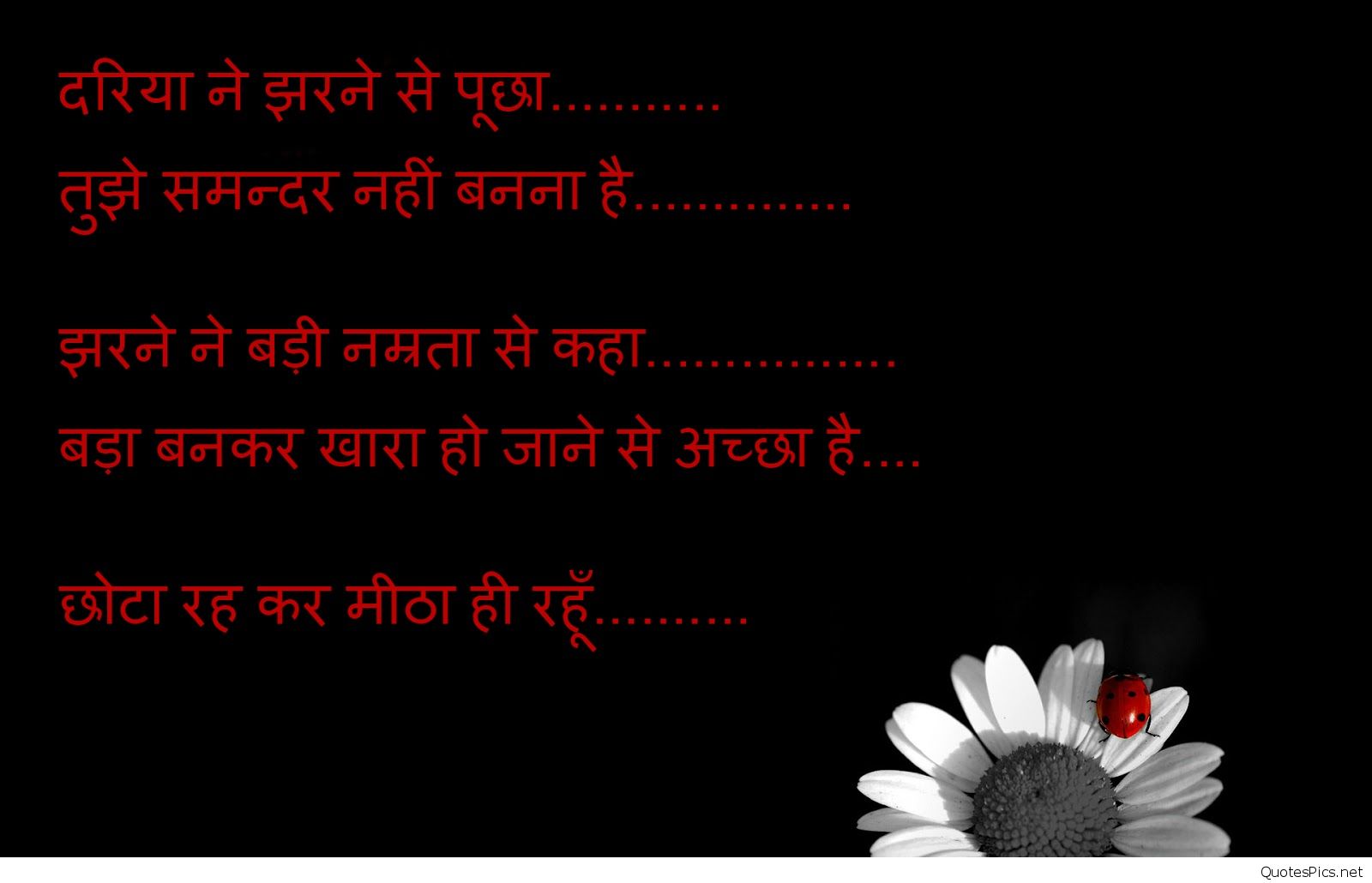 sad wallpapers of life,text,red,font,love,petal (#618782) - WallpaperUse