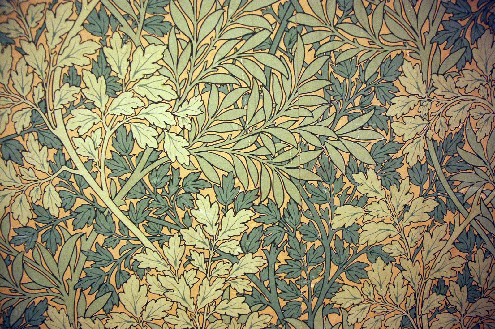 3f wallpaper,pattern,leaf,brown,plant,botany (#620320) - WallpaperUse