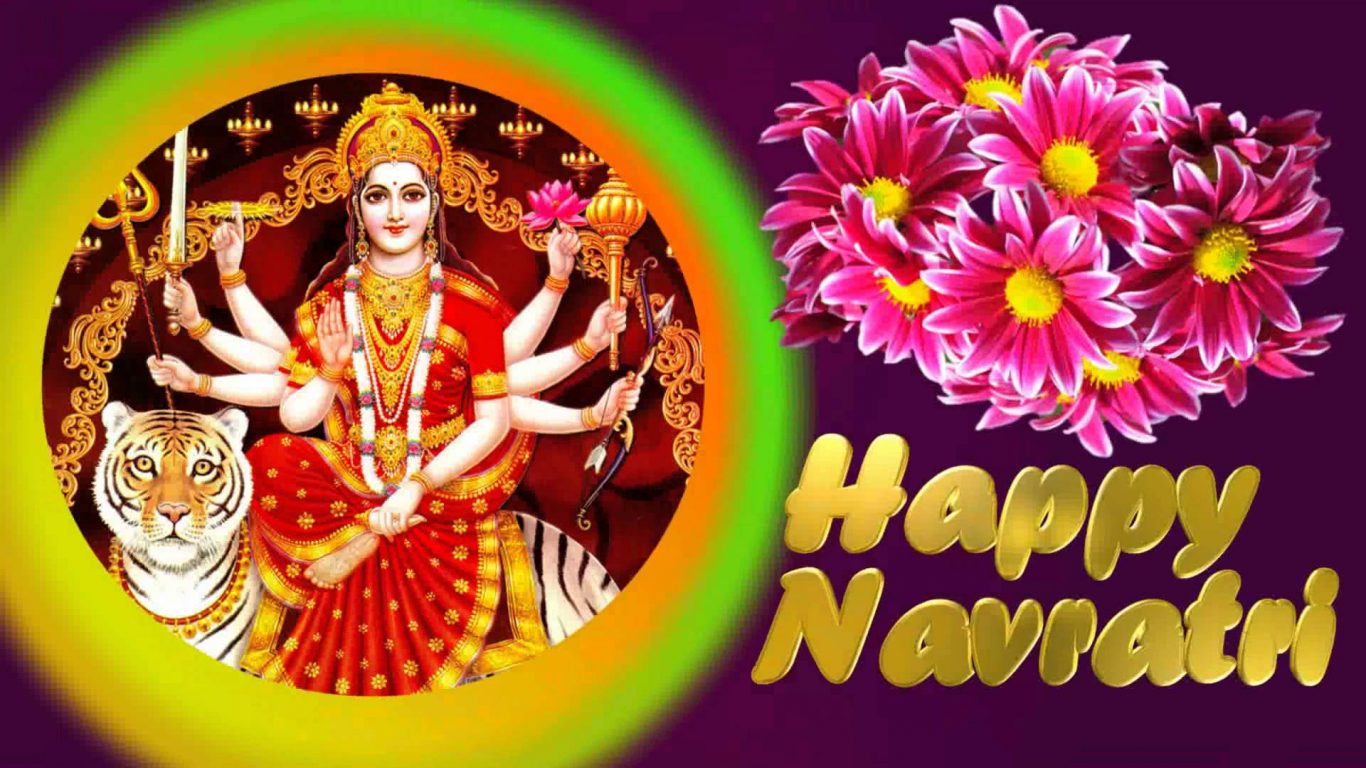 navratri special wallpaper,event,plant,tradition,flower,perennial plant ...