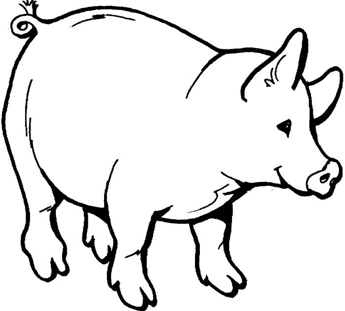 Sketsa Gambar Hewan Berkaki Empat - Outline Images Of Pig- WallpaperUse