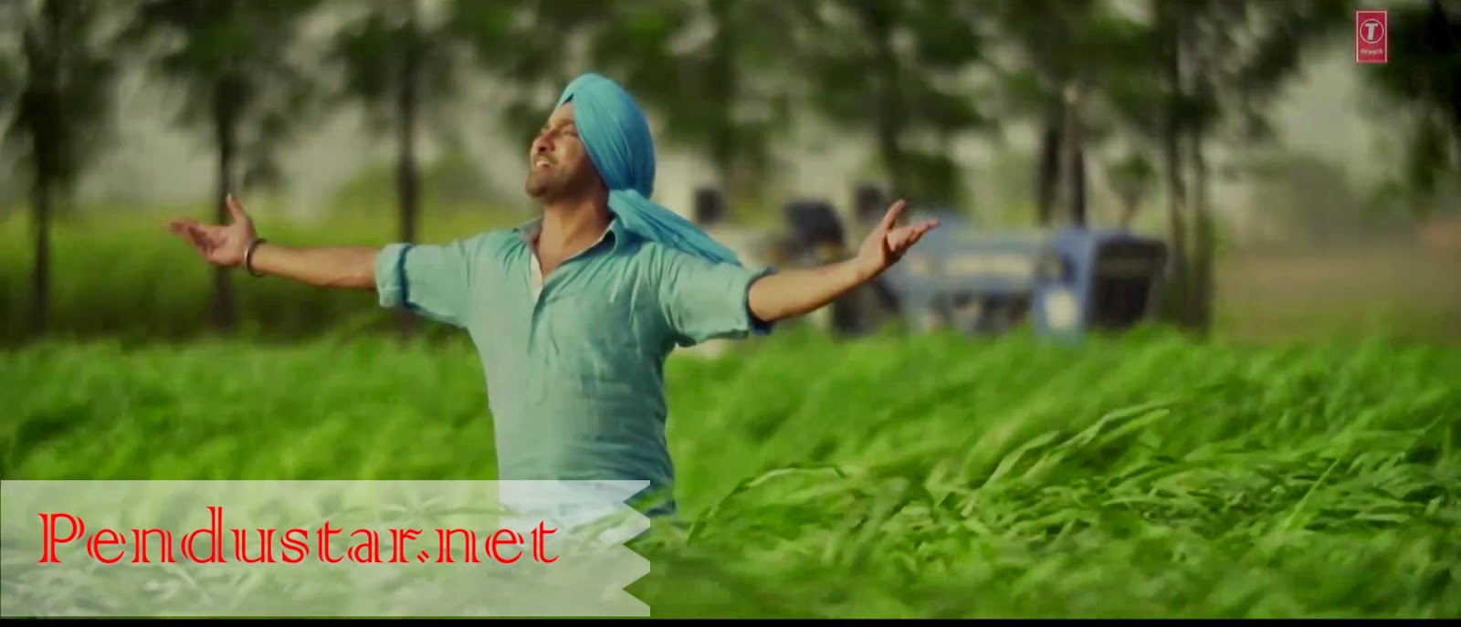 punjabi jatti wallpaper,nature,grass,arm,lawn,grass family (#632688 ...