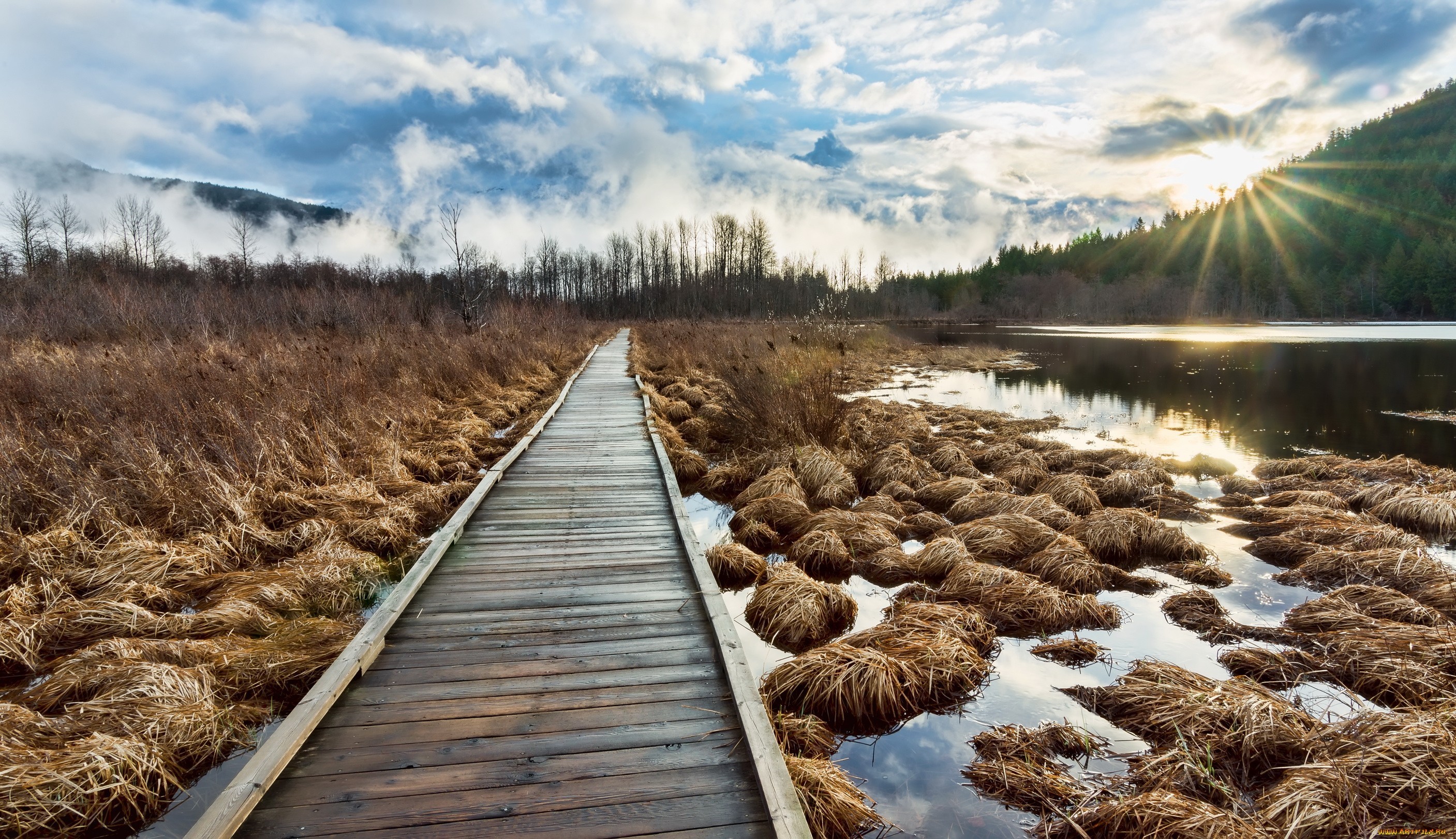 Walk Way Hd- WallpaperUse