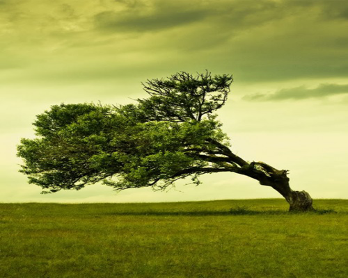 Strong Wind Blow - Strong Winds- WallpaperUse