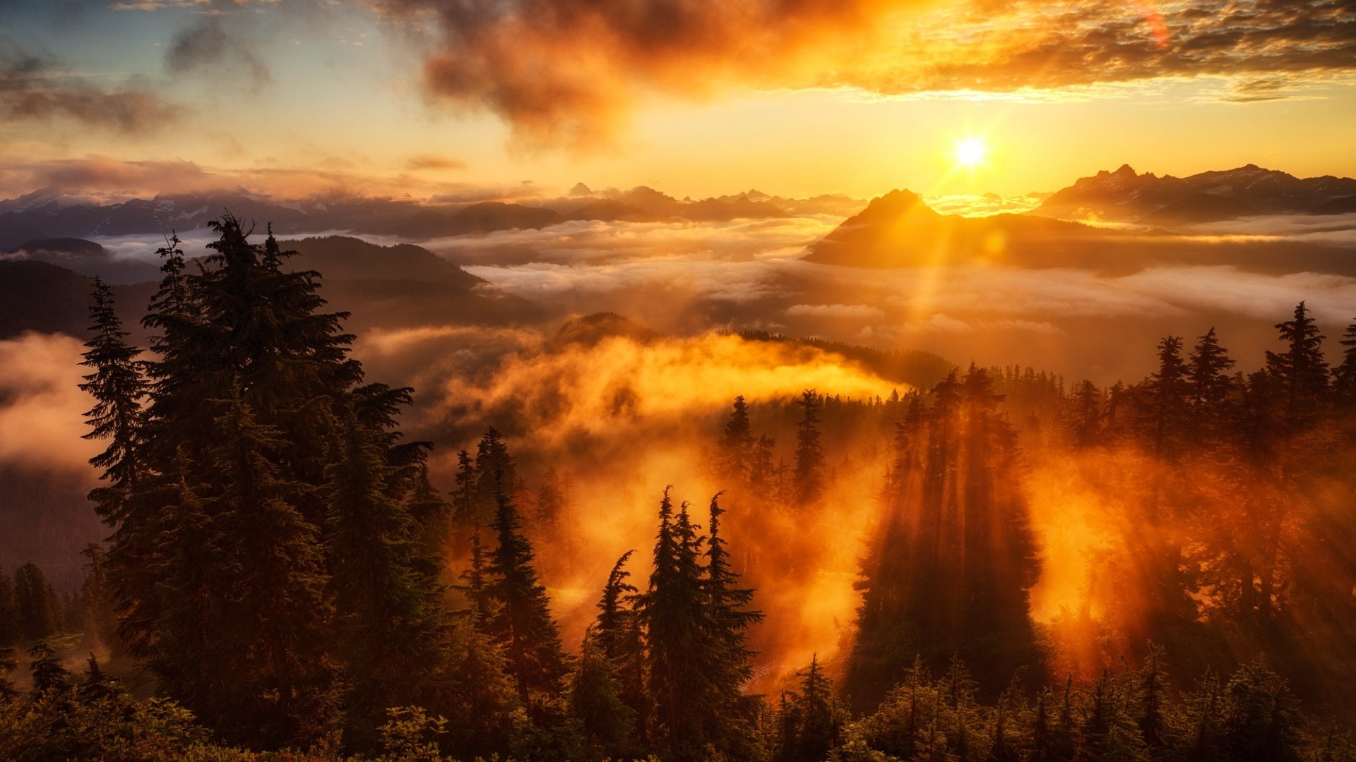 Mind Blowing Nature Hd- WallpaperUse