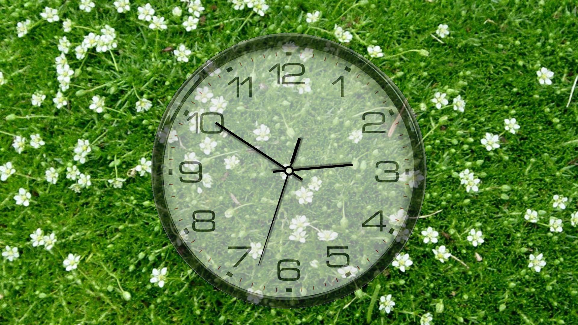 wallpaper jam aktif,clock,grass,green,leaf,plant (#640875) - WallpaperUse