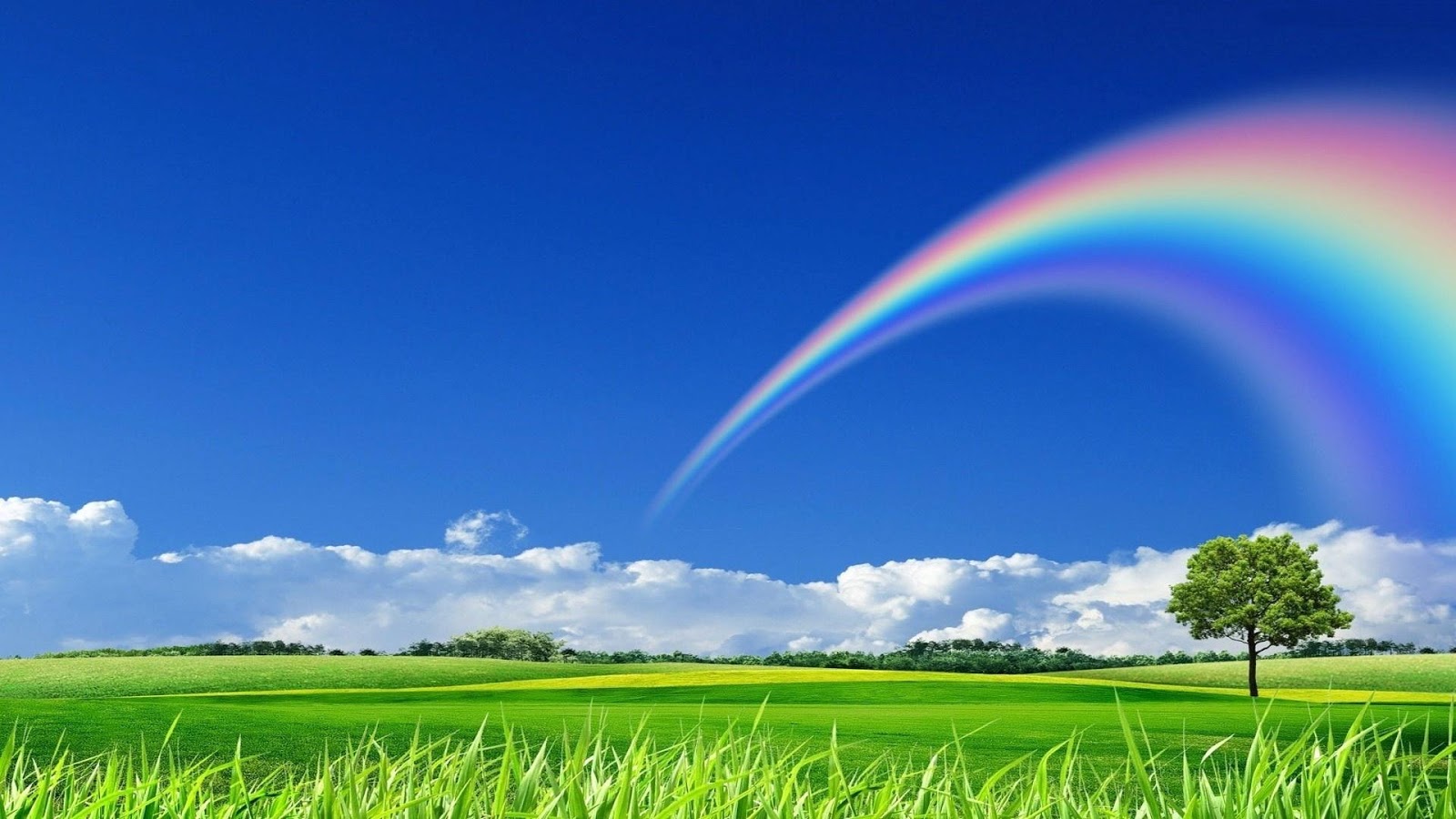 Gambar Langit Biru Indah - Rainbow In Blue Sky- WallpaperUse