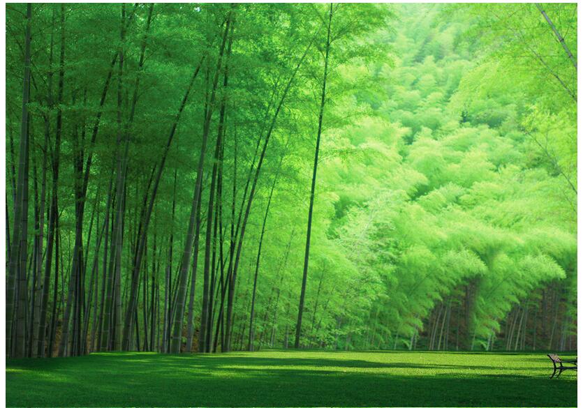 wallpaper rumput,green,nature,natural landscape,tree,natural ...