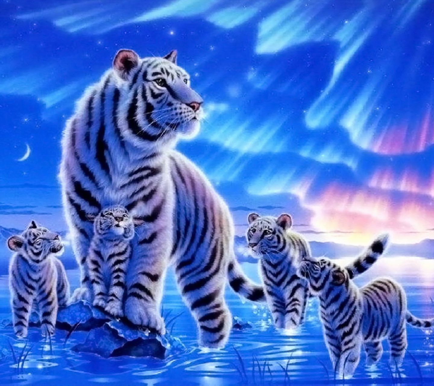 Macan Putih - White Tiger And Cubs- WallpaperUse