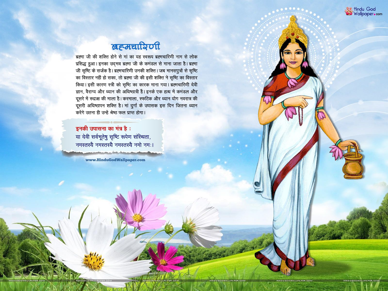 mata rani ke wallpaper,cartoon,plant,blessing (#665130) - WallpaperUse