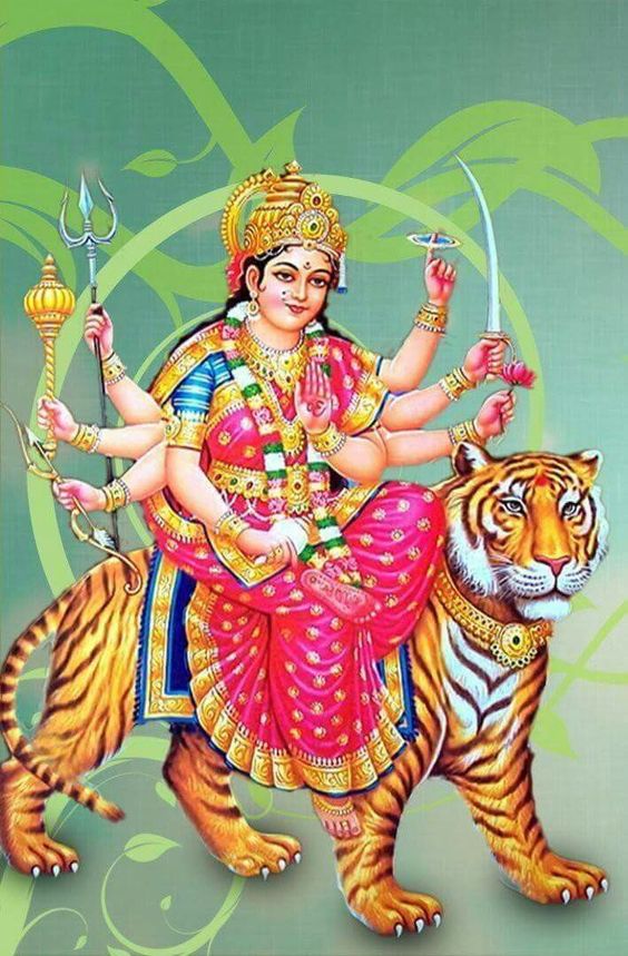 mata rani ke wallpaper,felidae,illustration,tiger,carnivore,big cats ...