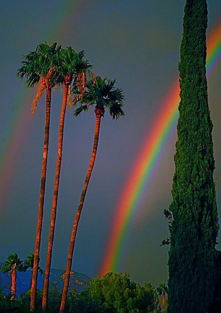 Wallpaper Status For Whatsapp- WallpaperUse