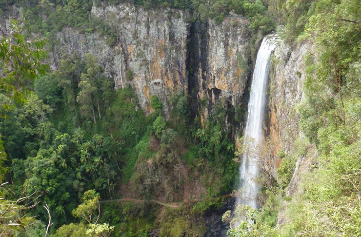 Springbrook National Park- WallpaperUse