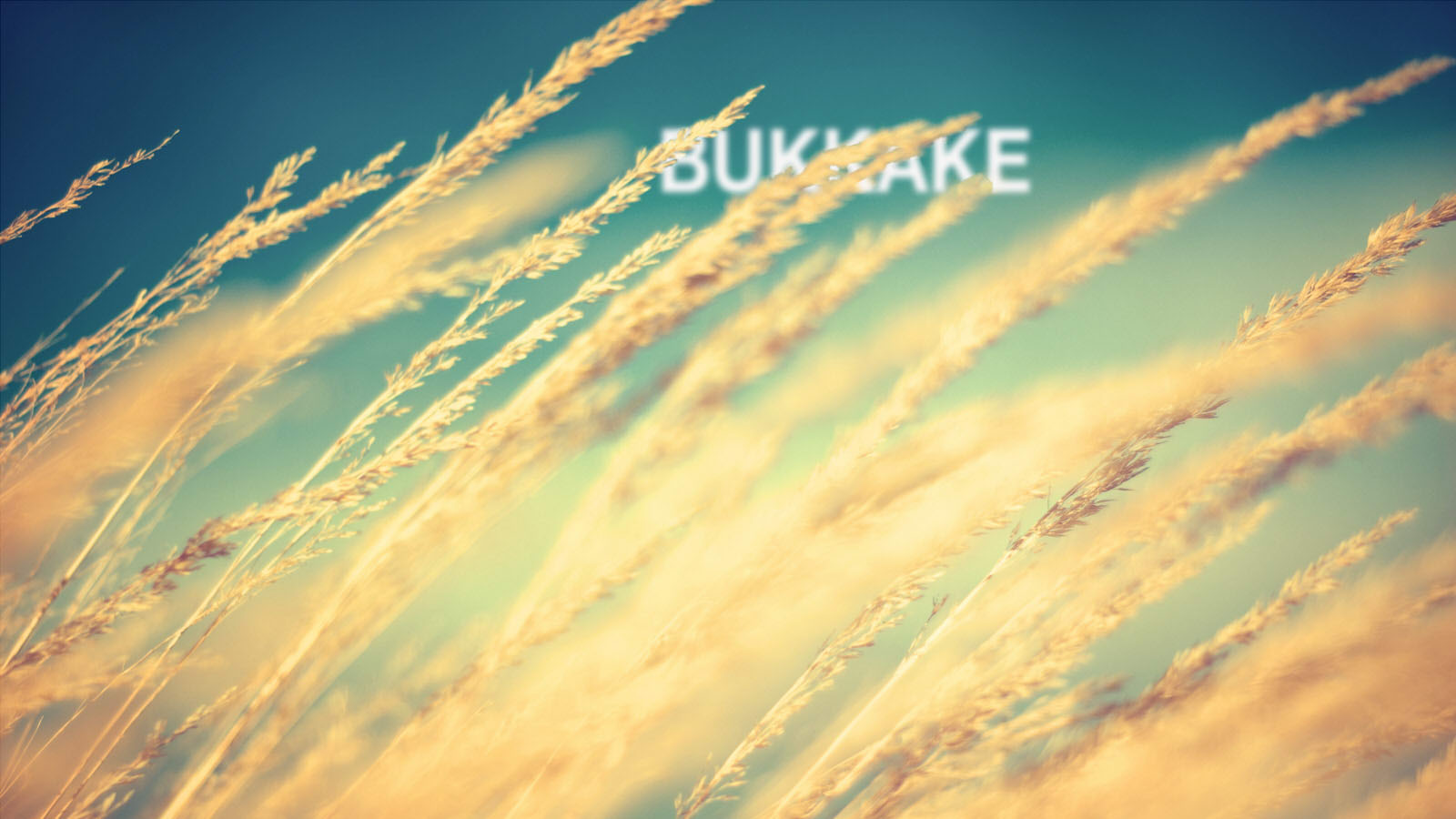 Funny Inappropriate Wallpapers - Wind Background Hd- WallpaperUse