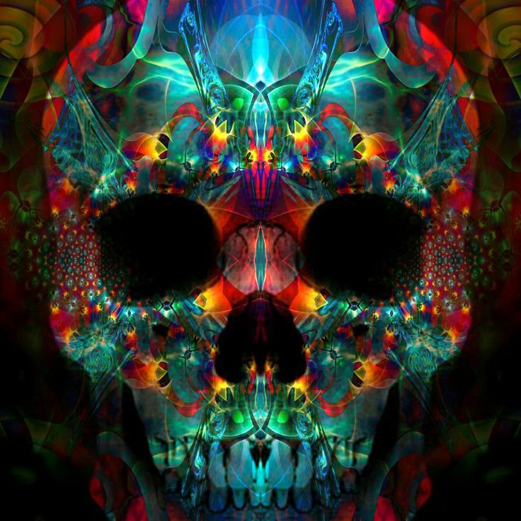 Colorful Skulls- WallpaperUse