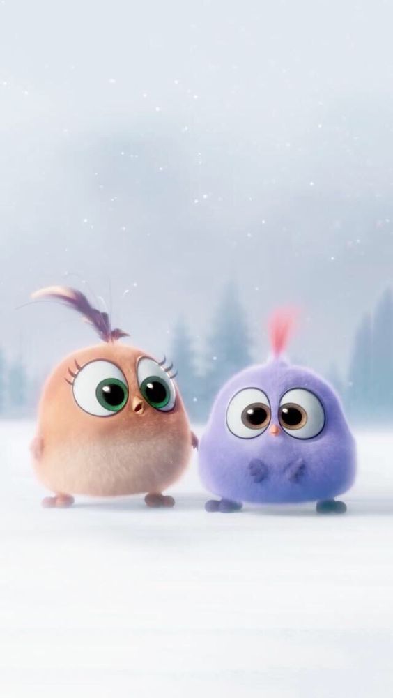 böse vögel leben tapete,karikatur,animation,eule,schnauze,schneeeule ...