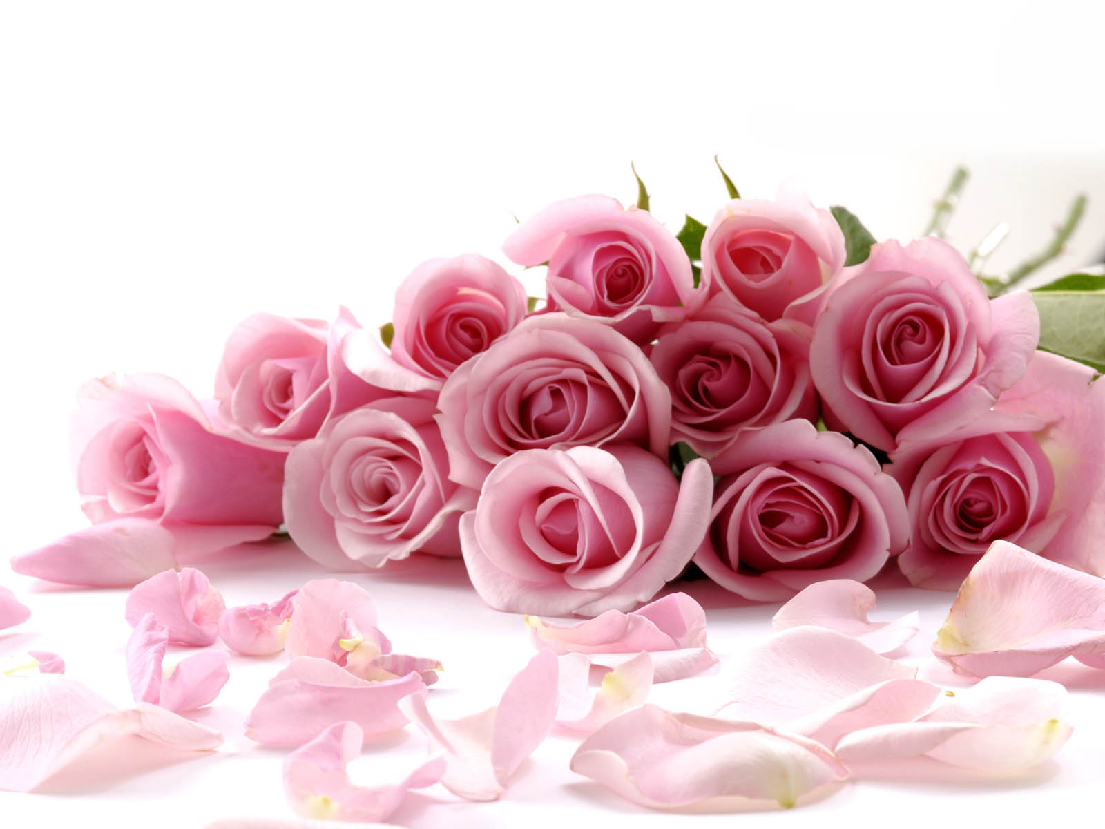 Pink Flower Funeral Background- WallpaperUse