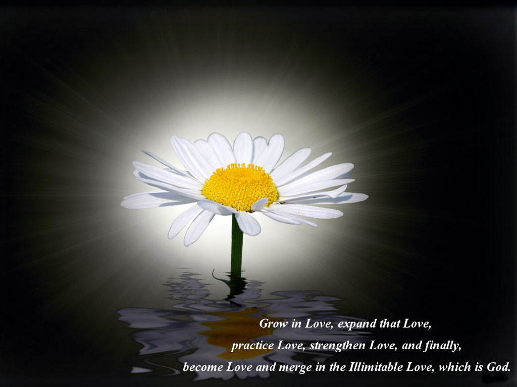 Inspirational Christian Wallpaper - Inspirational Cute Love Flower ...