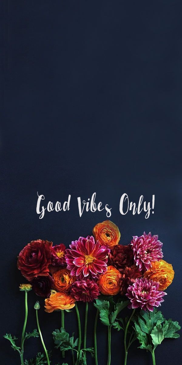 good wallpapers with quotes,flower,cut flowers,plant,text,font (#693466 ...