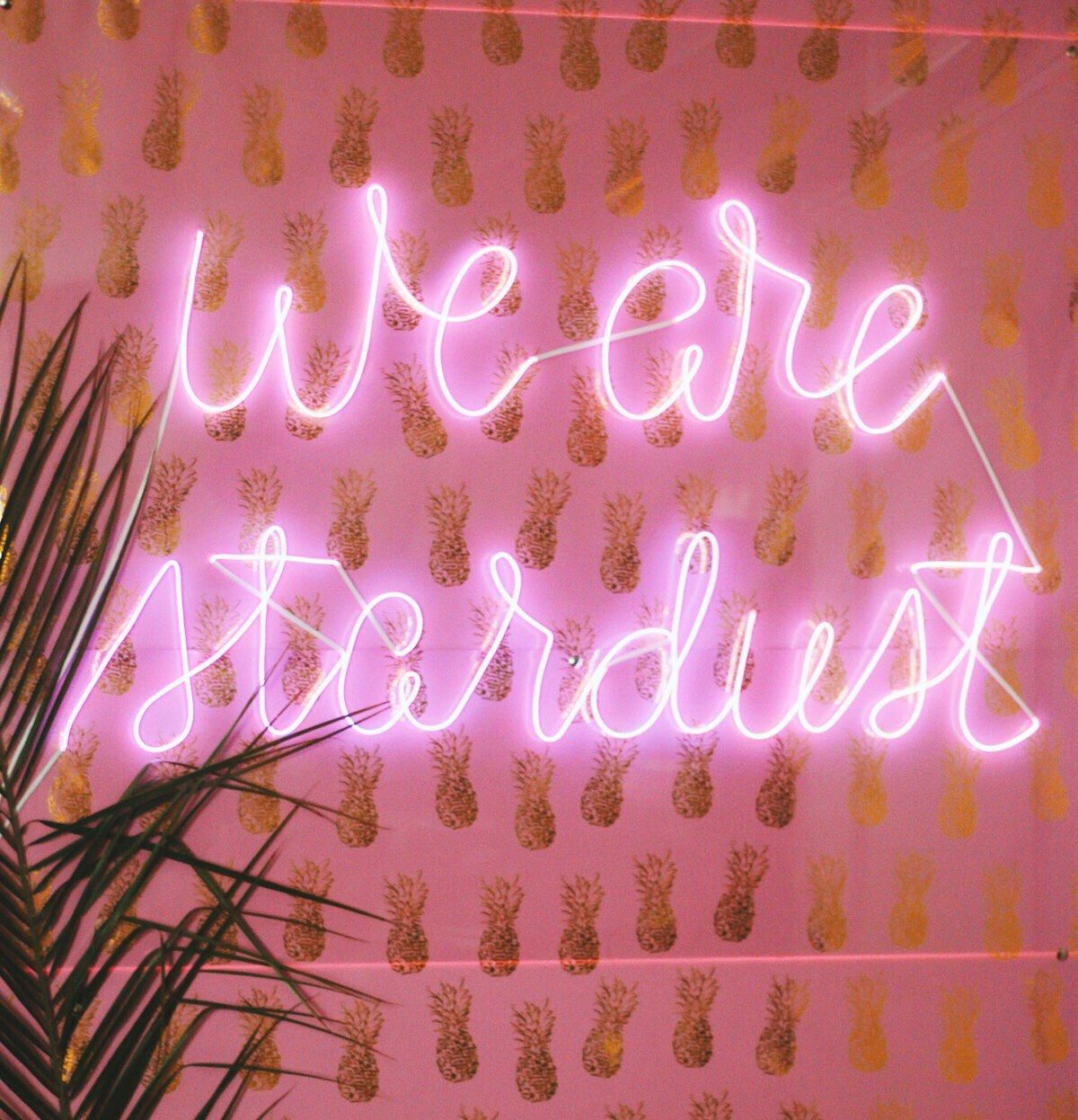 We Are Stardust Neon Sign- WallpaperUse