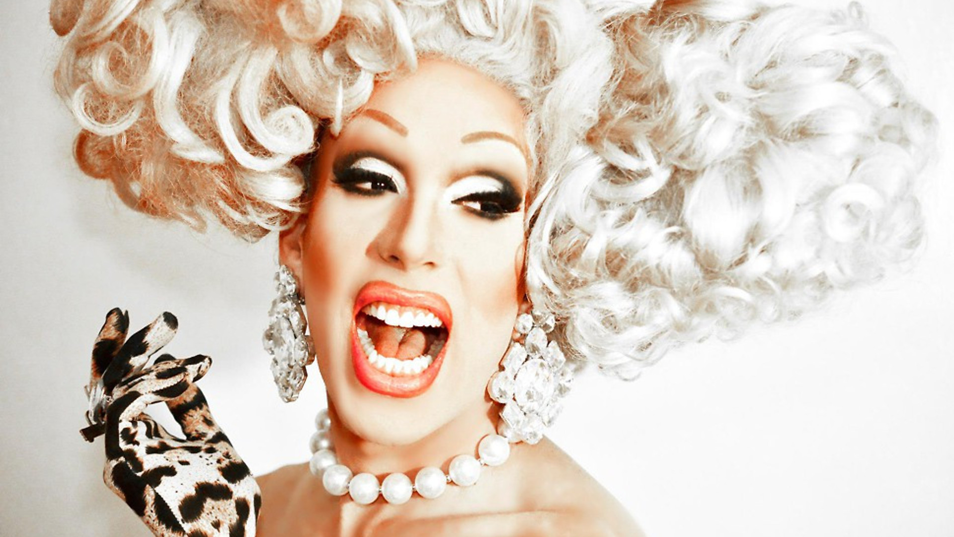 Calgary Drag Queens- WallpaperUse