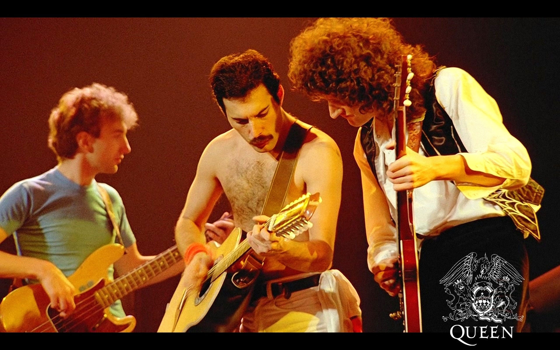 queen wallpaper hd,musician,music,performance,entertainment,guitarist ...
