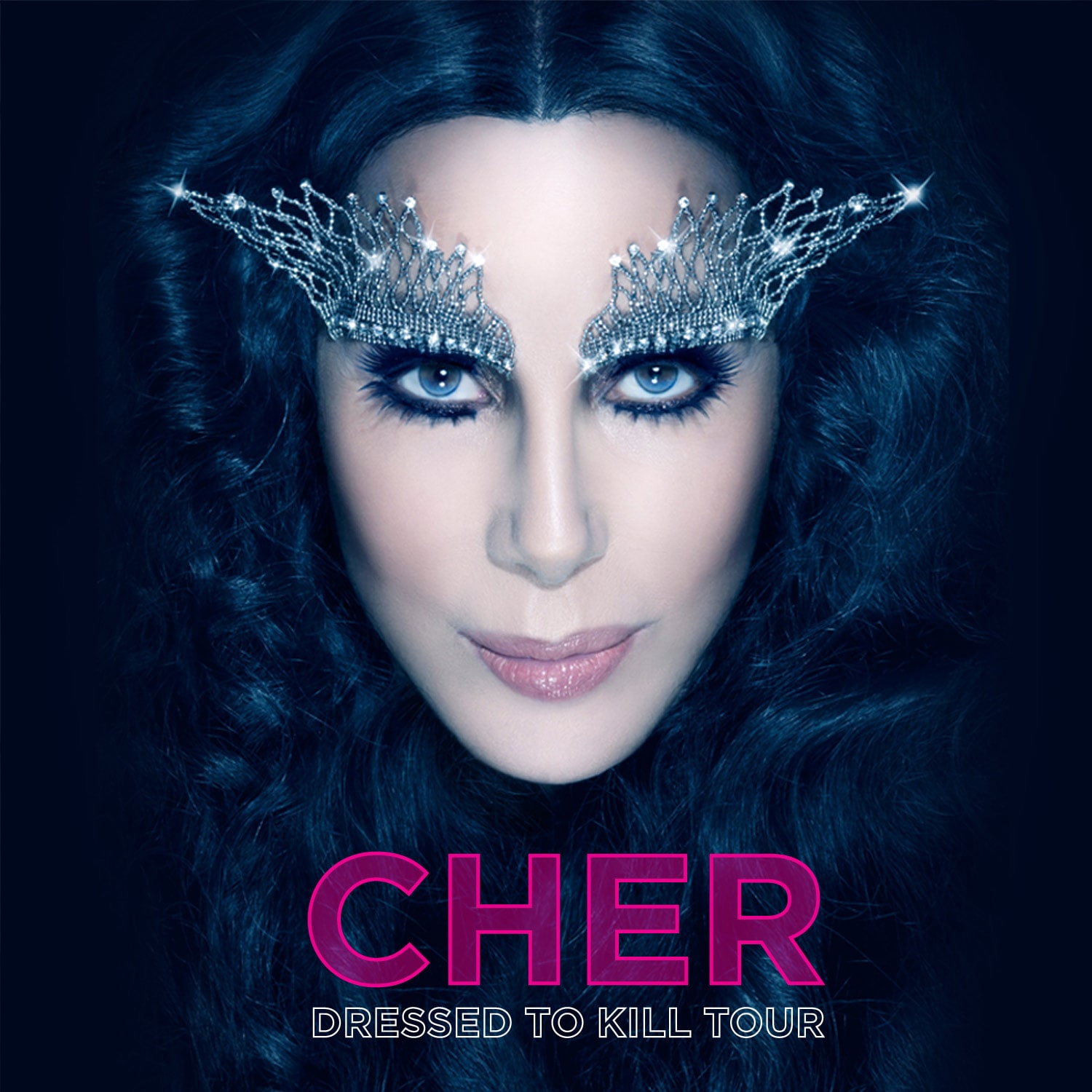 Cher Full Hd Wallpapers - Cher At Wells Fargo- WallpaperUse