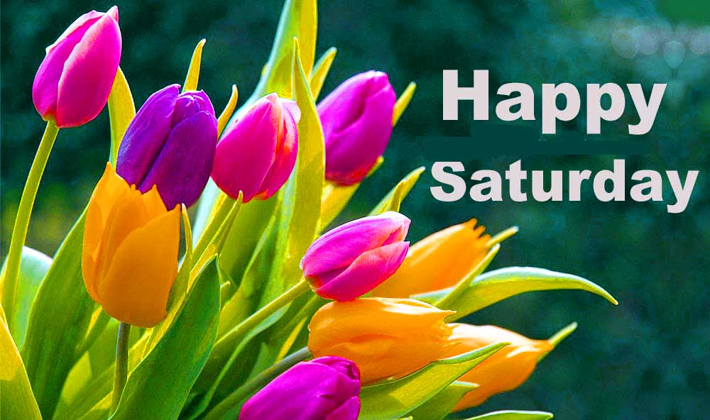 Good Morning Saturday Images Wallpaper Photo Pics Download - Good ...