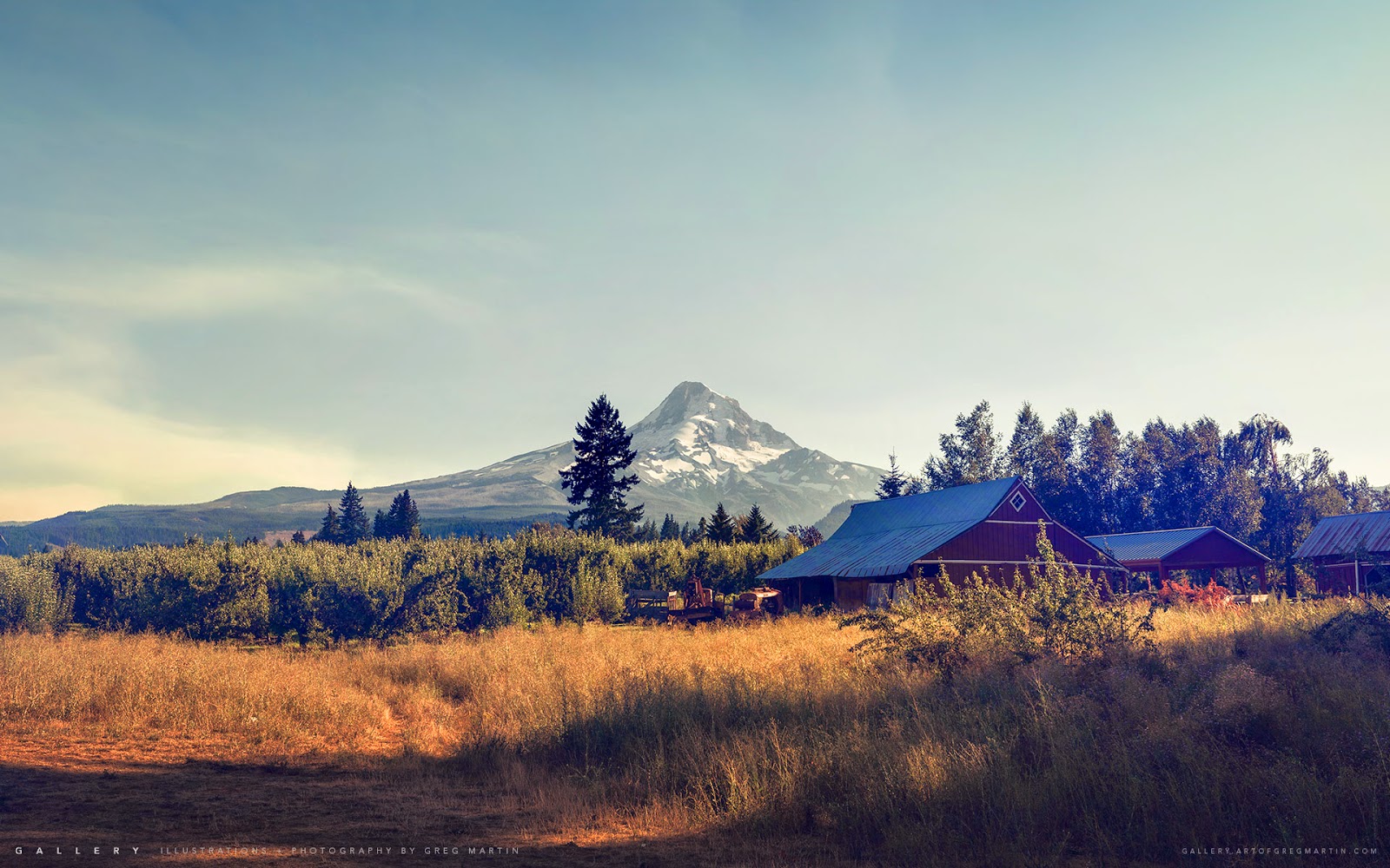 Pure High Definition Desktop Wallpapers - Wallpaper- WallpaperUse