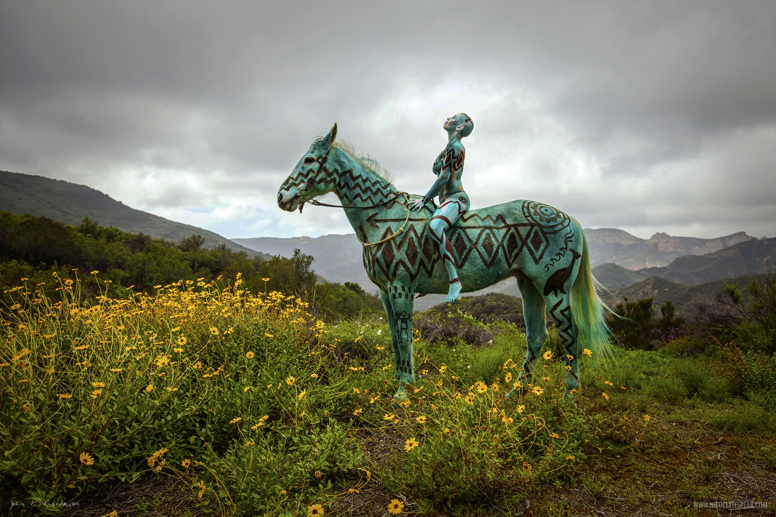 akt wallpaper,nature,horse,grassland,meadow,hill (#699569) - WallpaperUse